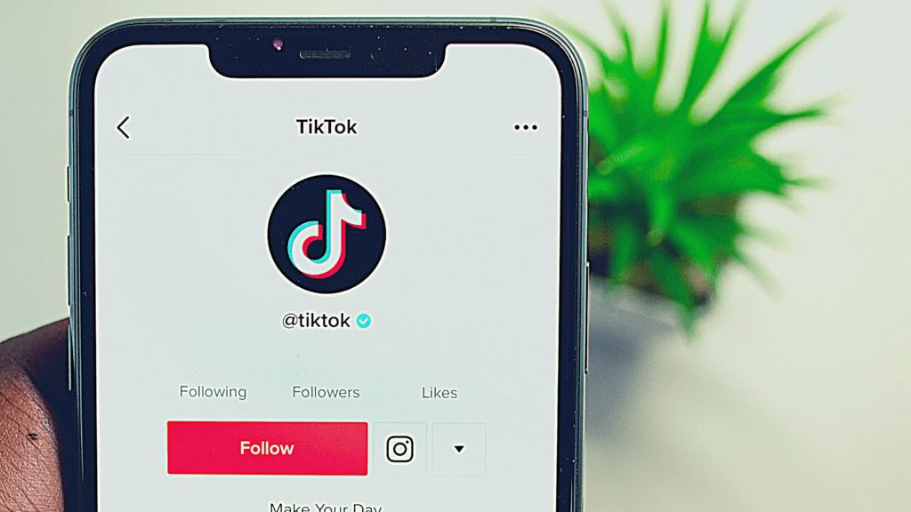 TikTok Ads: la guía completa para anunciarte en la red social de moda